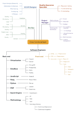 Web App Development Company: Team Structure, and Roles